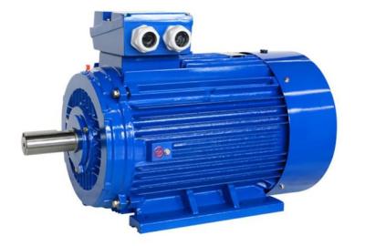 China High Power Permanent Magnet AC Motor Low Maintenance And Noise for sale
