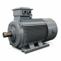 China 90KW Corrosion Resistant IE5 Efficiency IP55 Washdown Permanent Magnet Motor for Food and Chemical Plants for sale