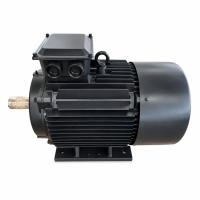 China 75 kW Variable Speed Permanent Magnet Motor with IE5 Efficiency for Energy Saving Applications for sale