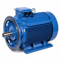 China 30KW Liquid Cooled Compact Permanent Magnet Motor for Marine Engine Room Duty for sale