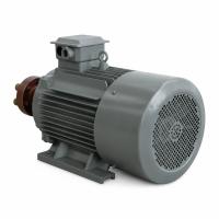China OEM ODM Custom 100kW Permanent Magnet Motor Generator 400V 50Hz EPMG-100CU for sale