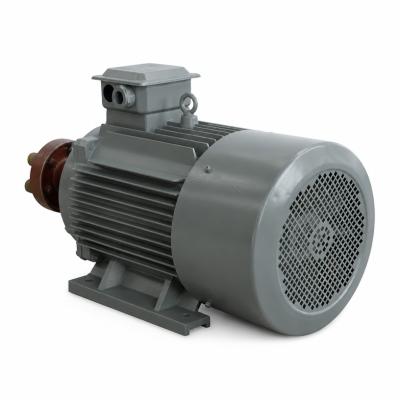China OEM ODM Custom 100kW Permanent Magnet Motor Generator 400V 50Hz EPMG-100CU for sale