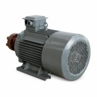 China 250KW IE5 Ultra Premium Permanent Magnet Motor Drop-In Retrofit for Induction Replacement for sale