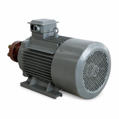 China 250KW IE5 Ultra Premium Permanent Magnet Motor Drop-In Retrofit for Induction Replacement for sale