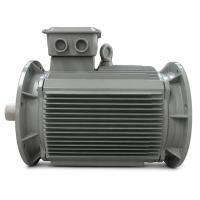 China 200KW High Starting Torque IE5 Ultra Premium Efficiency Permanent Magnet Motor for Crusher Conveyor Duty for sale