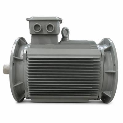 China 200KW High Starting Torque IE5 Ultra Premium Efficiency Permanent Magnet Motor for Crusher Conveyor Duty for sale