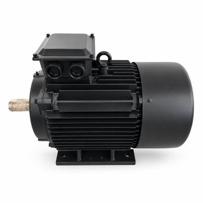 China 18.5KW IE5 Ultra Premium Efficiency Permanent Magnet Motor CE ISO9001 Certified for Industrial Export for sale