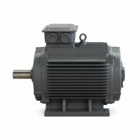 China 25KW IE5 Ultra Premium Efficiency Permanent Magnet Motor with B5 Flange Mount for OEM Customization for sale