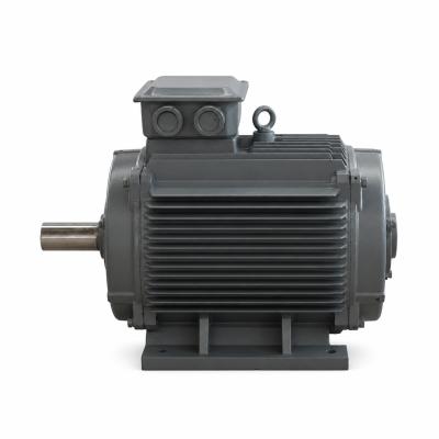 China 25KW IE5 Ultra Premium Efficiency Permanent Magnet Motor with B5 Flange Mount for OEM Customization for sale