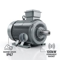 China 100kW Marine Permanent Magnet Generator IP67 Corrosion Resistant Direct Drive for sale