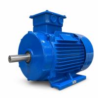 China 80kW 690V Variable Speed Permanent Magnet Generator for Wind Turbine PMSG for sale