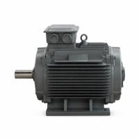 China 12kW 400V Three Phase Direct Drive Gearless Permanent Magnet Generator for Wind Turbine for sale
