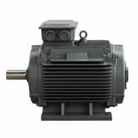 China Custom OEM ODM Permanent Magnet Generator 5kW-500kW Variable Voltage PMG for sale