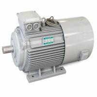 China 15kW 250rpm 400V Three Phase Permanent Magnet Generator with Built-in AVR for Off Grid Power for sale