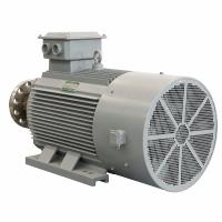 China 100kW Radial Flux Direct Drive Permanent Magnet Generator for Wind Turbines 120rpm 690V for sale