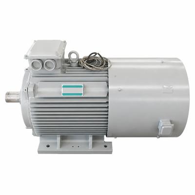 China 30KW Permanent Magnet Generator with IE5 Efficiency and NdFeB Rare Earth Magnet for sale