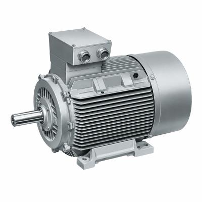China IE5 50KW Low Noise Three Phase Permanent Magnet Generator for Wind Turbine for sale