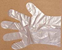 China Popular HDPE Clear Color Plastic Polythene Disposable Glove for sale