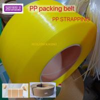 China 5-19mm PP Strapping belt High-Speed Automatic PP Strapping strap Automatic Strapping Machine for sale