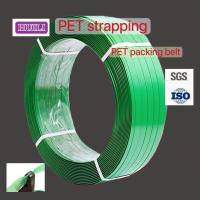 China High-Quality PET Packaging Strap 16–19mm Manual PET Strapping for Metal Buckle Tools for sale