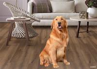 China Waterproof and flame-retardant floor WFR flooring,also called MGO flooring for sale