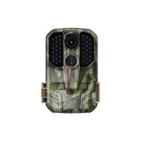 China 32mp Infrared Night Vision Critter Cameras 10fps Infrared Wildlife for sale