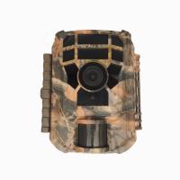China Solar Mini Wildlife Camera 4AA Battery HD Miniature 1080p 24mp for sale