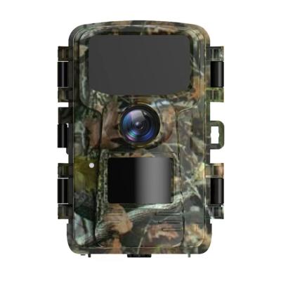China 0.8 Second Night Vision Trail Camera 1080p Entry Level 2 Inch Outdoor For Wildlife for sale