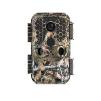 China 4k Ip65 Waterproof Night Vision Wildlife Camera 30fps Outdoor 60M 38PC IR LED for sale