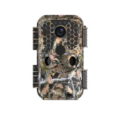 China 4k Ip65 Waterproof Night Vision Wildlife Camera 30fps Outdoor 60M 38PC IR LED for sale