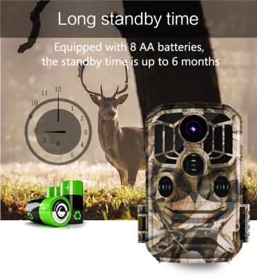 China Durable Night Vision Trail Camera with Memory Card Slot for Capturing Wildlife for sale