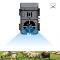China Solar Panel Long Standby Time 4G FOV 90 Degree Animal Hunting Game Camera IP65 24MP With 0.4S Fast Triggering Time for sale