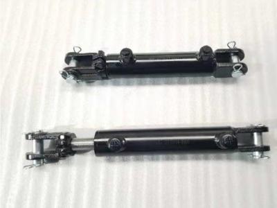 China 3000PSI double acting the prince sword line hydraulic Cylinder for sale
