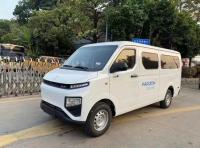 China Universal 3-meter Carriage Geely V6E Electric Car for 2 Passengers Truck and Bus Edition for sale