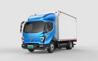 China 2024 Feidie Cars EW5 3 Seater Electric Van 8T Truck with Leather Seats and 290km Range for sale
