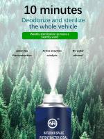 China Efficiently Kill Bacteria and Remove Odor with Ora Automotive Vehicle Fogger's Formula for sale