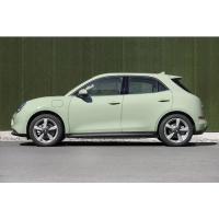 China Energy Vehicles in 2024 Ora Haomao Pure Electric SUV with Euro VI Standard for sale