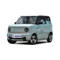 China Small Electric Car Geely Panda Geome Mini EV 2024 Energy Vehicle with 120km Range for sale