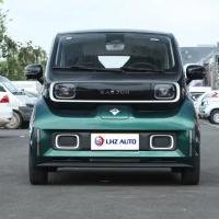 China Adult Mini Energy Vehicle with Battery Capacity 31.9kWh and Charging Time 0.5 Hour in 2024 for sale