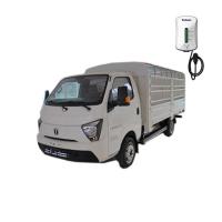 China Electric Cargo Van 3.95m 4.01m 3.6m Mini Truck with 2 Seats and 0.5 Hour Charging Time for sale