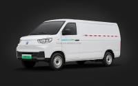 China Electric Cargo Van for Adult Feidi U6 Small Trucks Used Pick Up Truck 4746*1760*1965 for sale