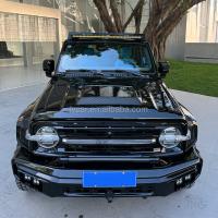 China Electric Driver's Seat Adjustment Tank Cyper 300 R21 Off Road SUV Gasoline Car for Adult for sale