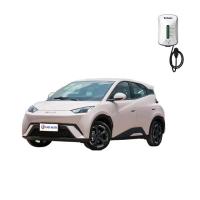 China Maximum Torque of 135Nm BYD Seagull Pure Electric Small SUV 's Best Micro Five-Seater for sale