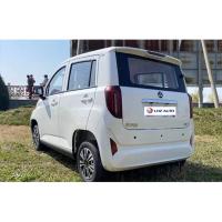 China 2024 's Popular Four wheeled Electric Vehicle with 200 Km Cruising Range and Five Seats for sale