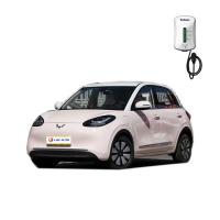 China Wuling Motors 2024 Energy Vehicle Prices for Left Steering Lithium Ion Battery SUV for sale