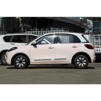China Wuling Motors 2024 Energy Vehicle Prices for Left Steering Lithium Ion Battery SUV for sale