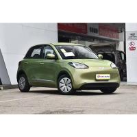 China 400km Cruising Range The 2024 Wuling Binguo Small Energy SUV with 5 Doors and 5 Seats for sale