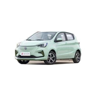 China 2024 EV Car The and Beautiful Electric SUV Car Changan Benben E-Star with 310 km Range for sale
