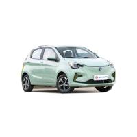 China 2024 EV Car The and Beautiful Electric SUV Car Changan Benben E-Star with 310 km Range for sale