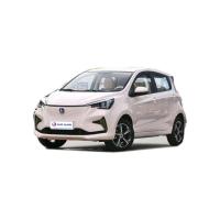 China 2024 EV Car The and Beautiful Electric SUV Car Changan Benben E-Star with 310 km Range for sale